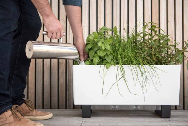 Self-Watering Planters: Brilliant Space-Savvy Small Garden Solution ...