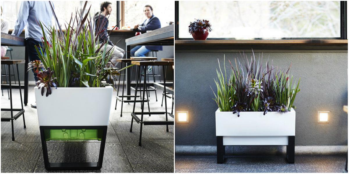 Discover the Power of Commercial Outdoor Planters with Restaurant ...