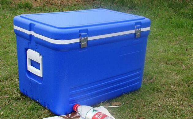 Discover the Ideal Traits an Icebox Should Have - Sherlocks.com.au Blog