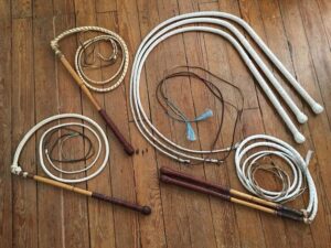 Whip Guide: Types, Uses and How to Find the Best One - Sherlocks.com.au ...