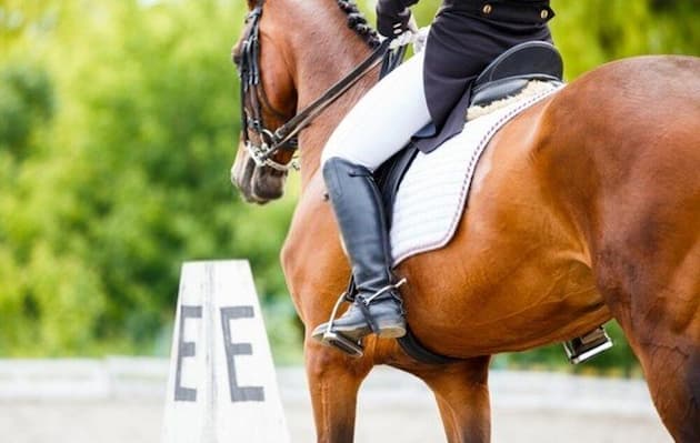 Tips on How to Choose the Best Horse Riding Boots