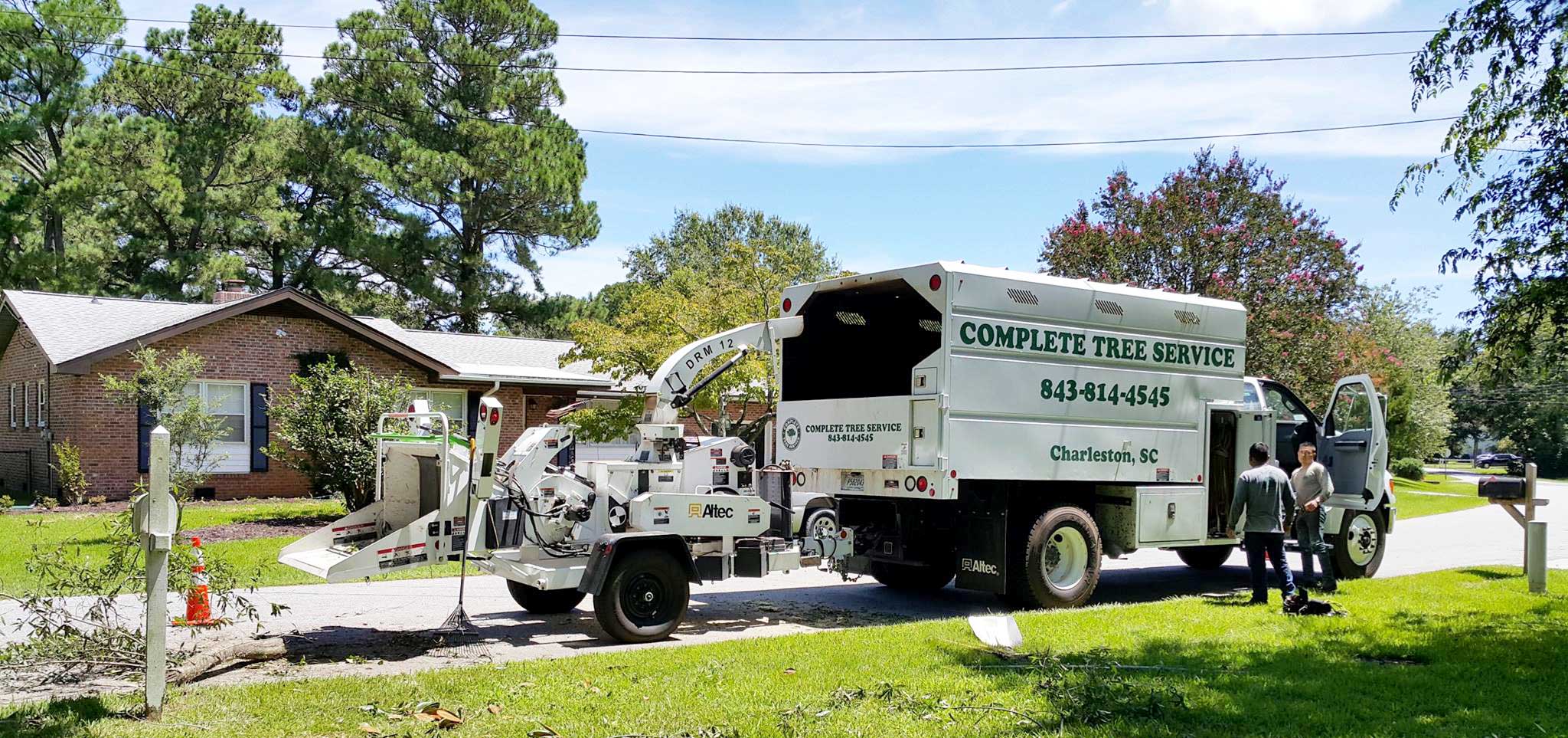 Exploring the Benefits of a Complete Tree Service - Sherlocks.com.au Blog