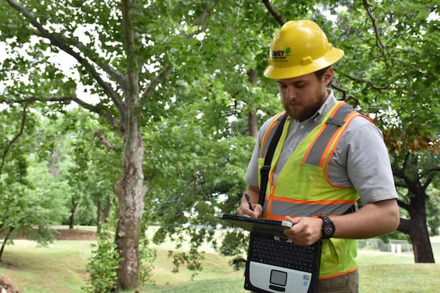 Everything You Need to Know About Tree Risk Assessments - Sherlocks.com ...
