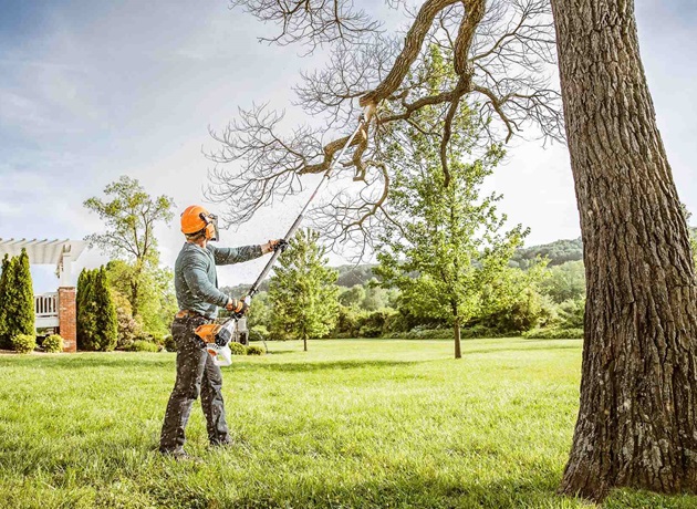 Tree Pruning - Professional Tree Trimming Services | TreeWorks