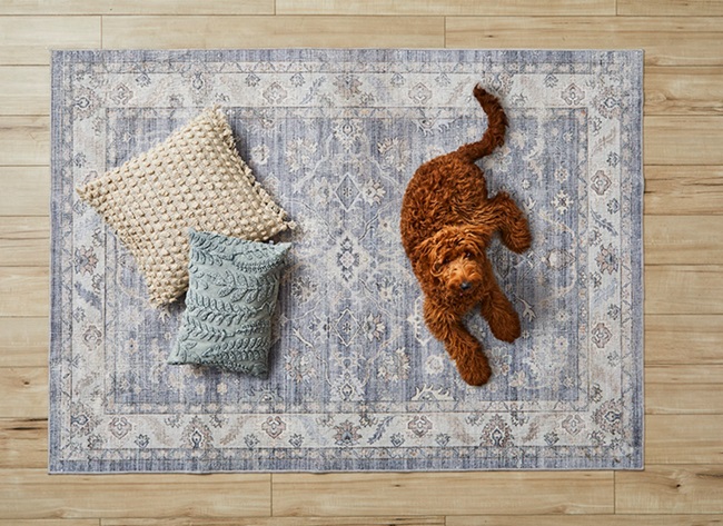 Easy Care, Easy Style: The Ultimate Guide to Machine Washable Rugs ...